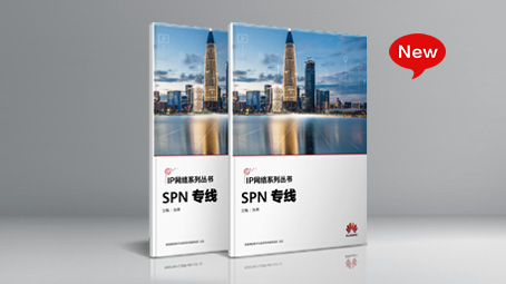 IP网络系列丛书 - 华为企业业务